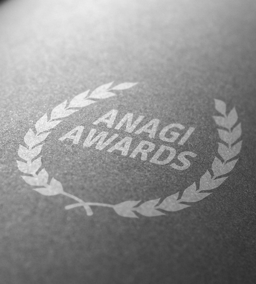 Awards | ANAGI.GE